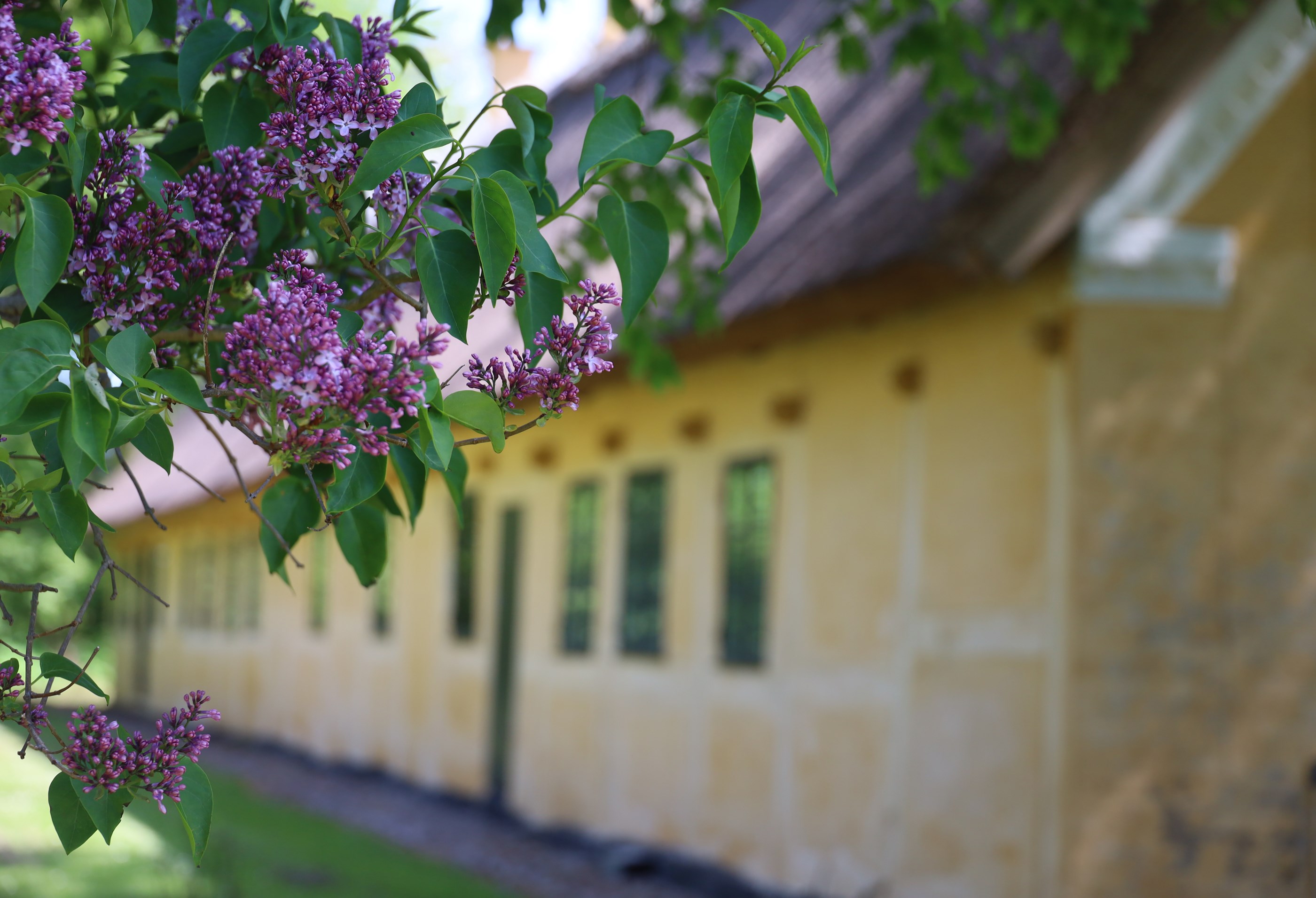 Welcome to Greve Museum | Greve Museum